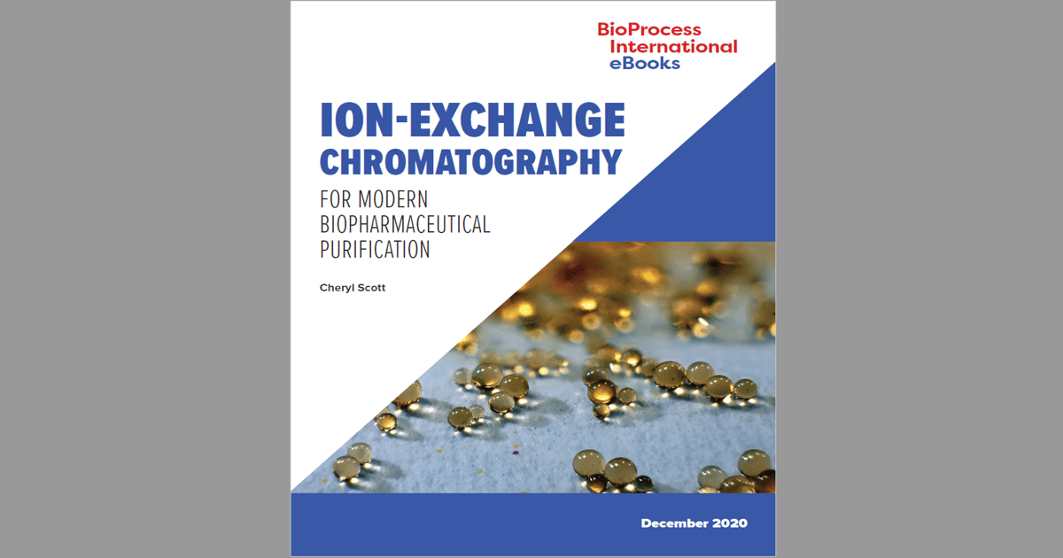 IEX Chromatography: Flexible Purification - BioProcess International