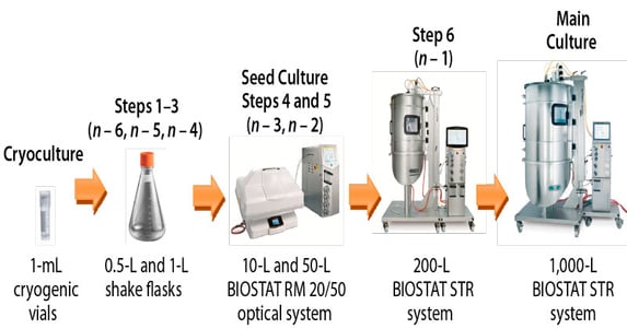 Verification of New Flexsafe STR Single-Use Bioreactor Bags