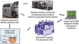 High-Throughput Process Development