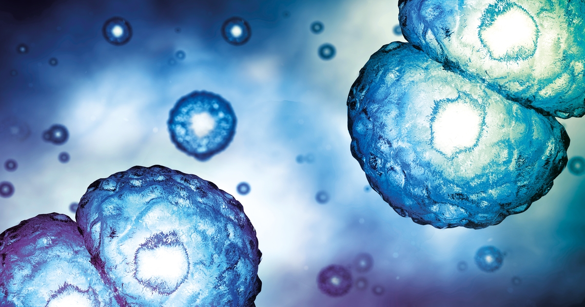 Optimization of HEK 293 and CHO Cell Culture Media Supplementation by ...