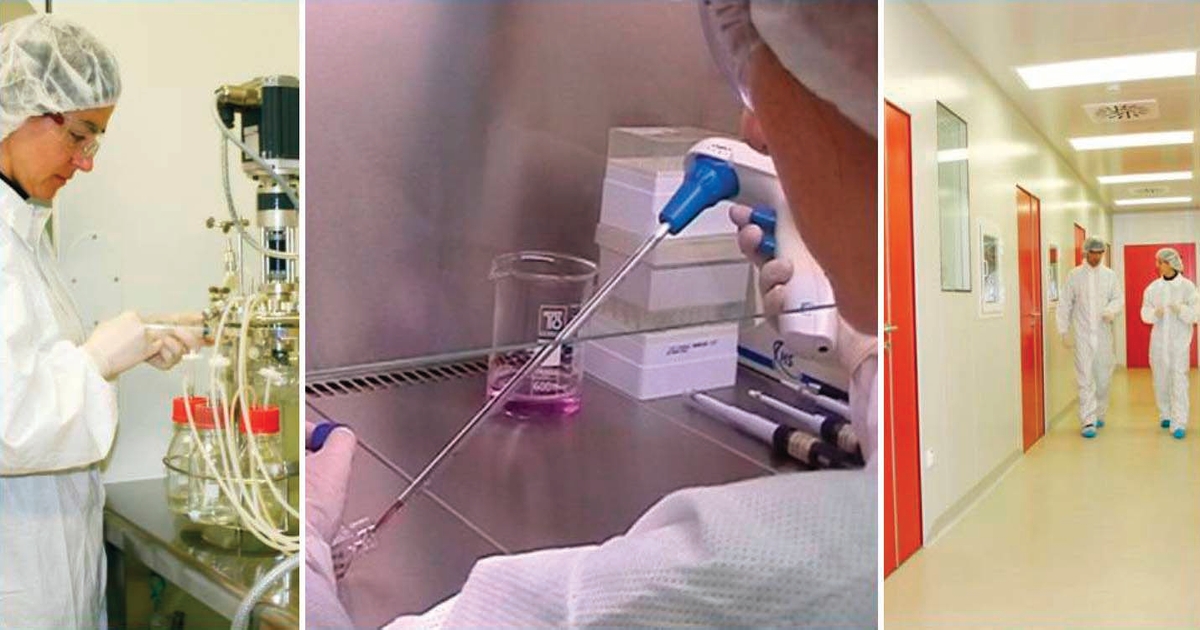 Bioreactor Design for Adherent Cell Culture: Contamination