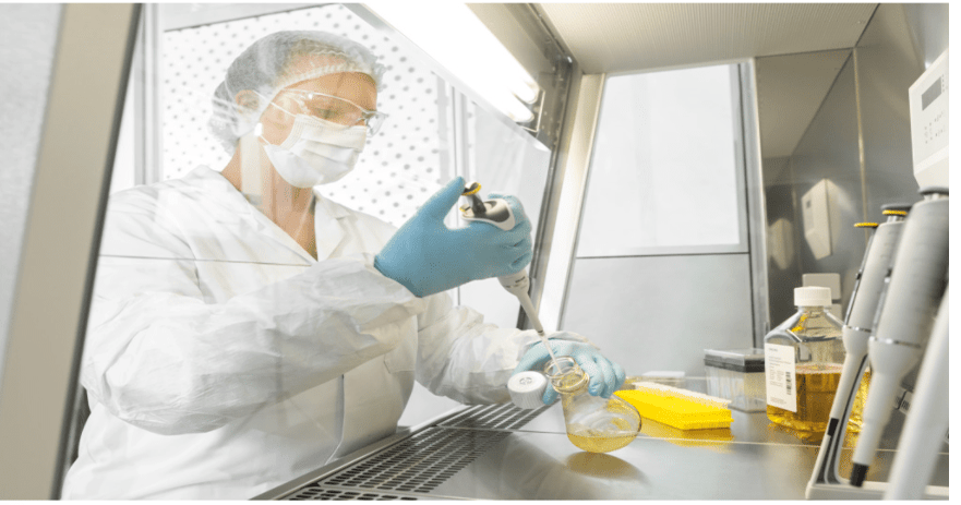 Using Optimized Expression Systems to Increase Productivity in CHO Cell ...