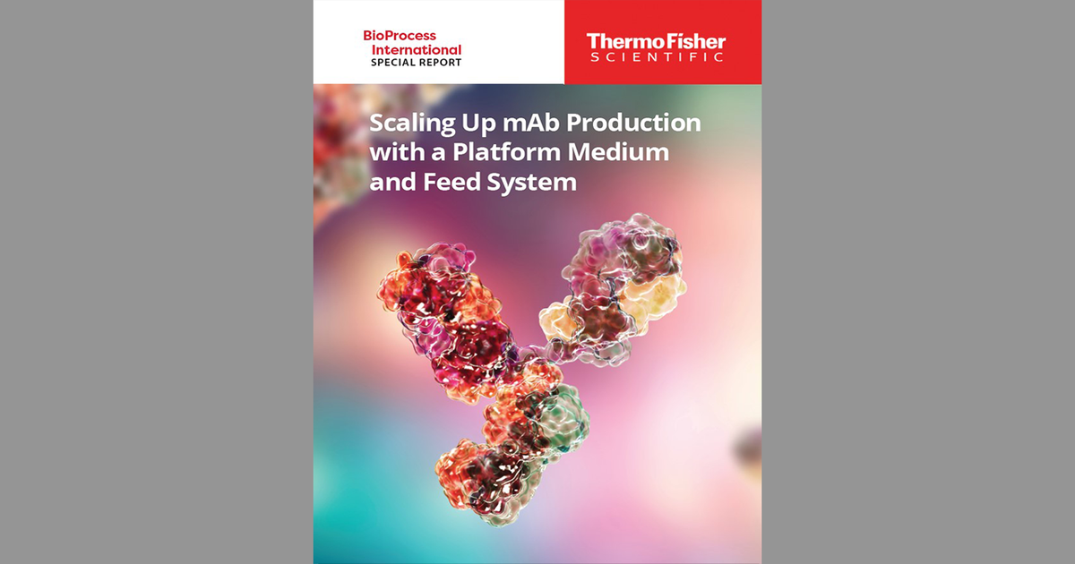 Scaling Up mAb Production with a Platform Medium and Feed System