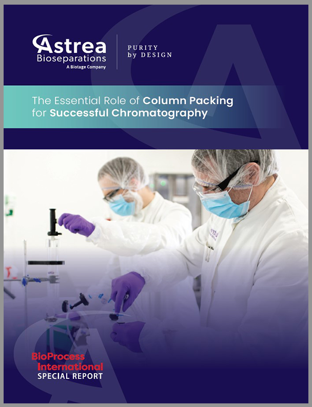 The Essential Role of Column Packing for Successful Chromatography