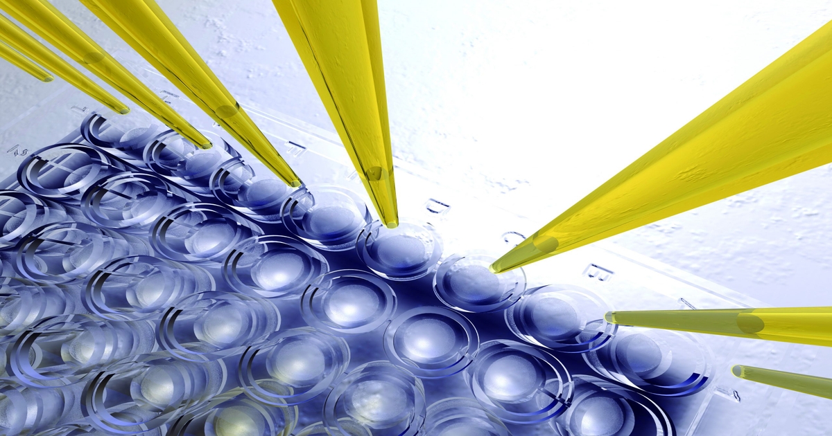 Best Practices for Bioassay Development - BioProcess International