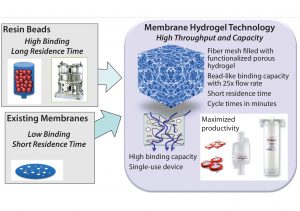 Standardized Economic Cost Modeling for Next-Generation MAb Production
