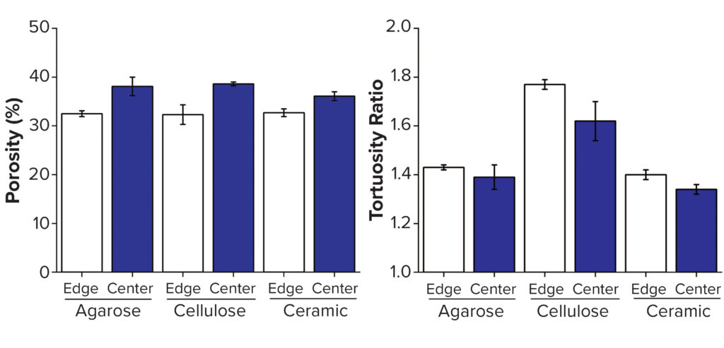 Visualization and Characterization of Chromatography Structures ...