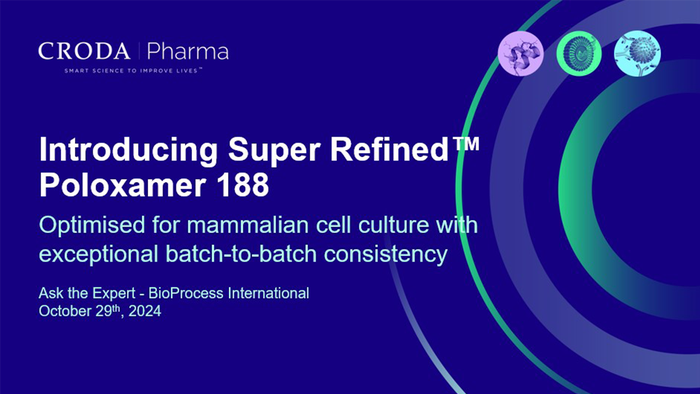 Fluid Flow And Mixing With Bioreactor Scale Up