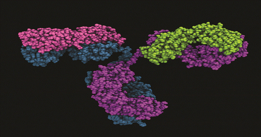 Opportunities and Challenges in Biosimilar Development