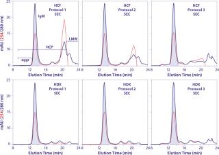IgM Purification with Hydroxyapatite