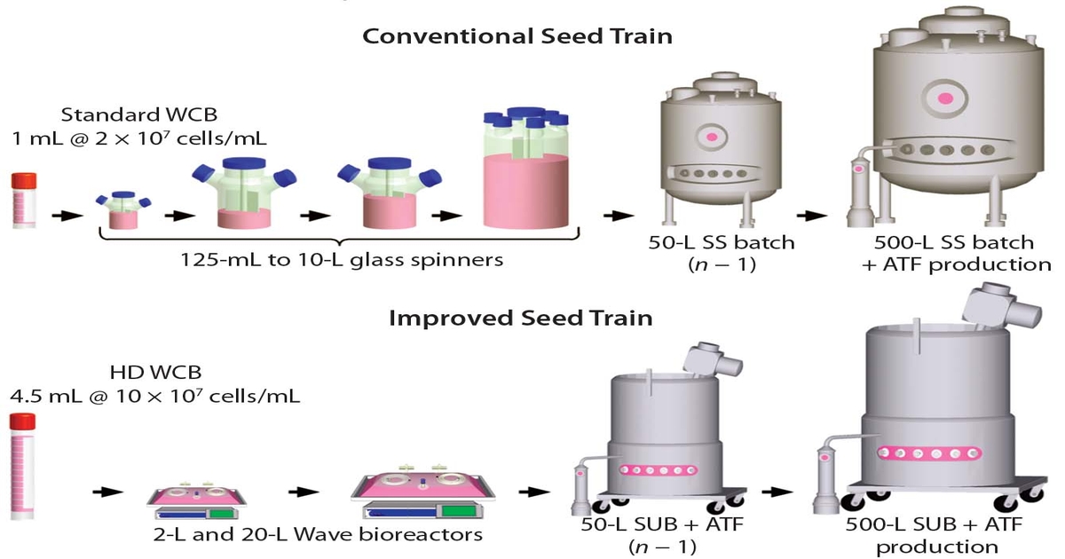 A Novel Seed-Train Process Using High-Density Cell Banking