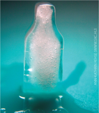 Large-Scale Freezing of Biologics