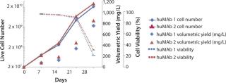 Rapid Generation of Stable NS0 Production Cell Lines in Chemically ...