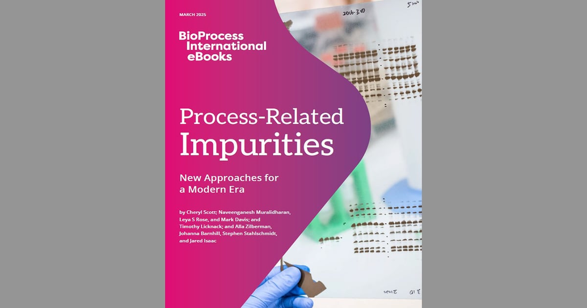 Process-Related Impurities: Approaches for a Modern Era