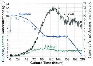 Using Raman Spectroscopy in CHO Cell Culture to Monitor Glucose ...
