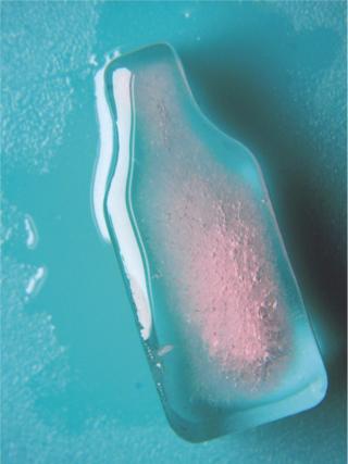 Large-Scale Freezing of Biologics