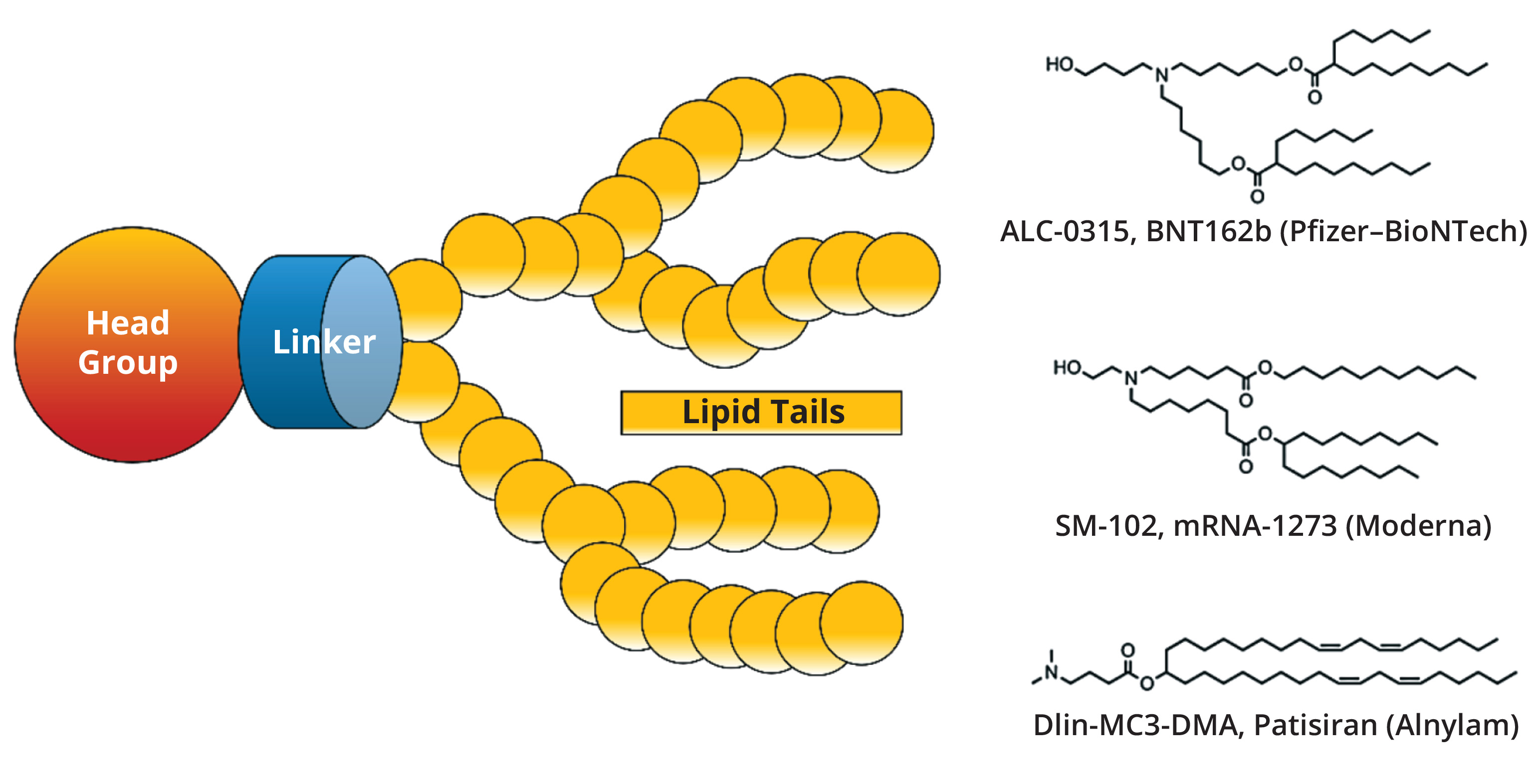 Optimization of Lipid-Nanoparticle Delivery RNA Delivery Systems