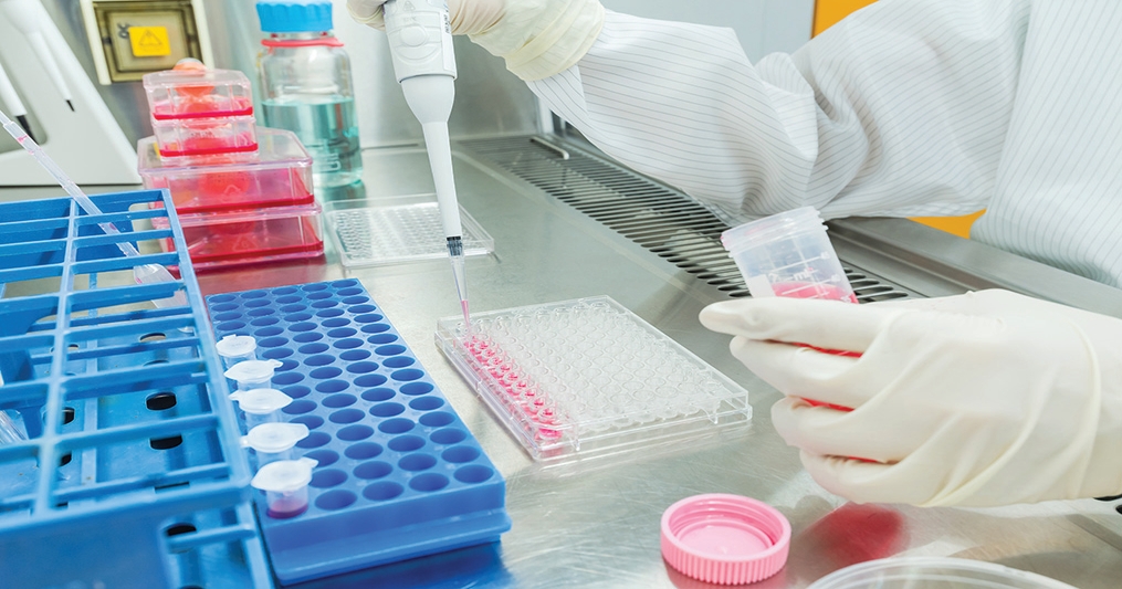 Standardizing Characterization Assays for Cell and Gene Therapy ...