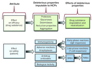 Host-Cell Proteins: Implications for Protein-Drug Efficacy - BioProcess ...