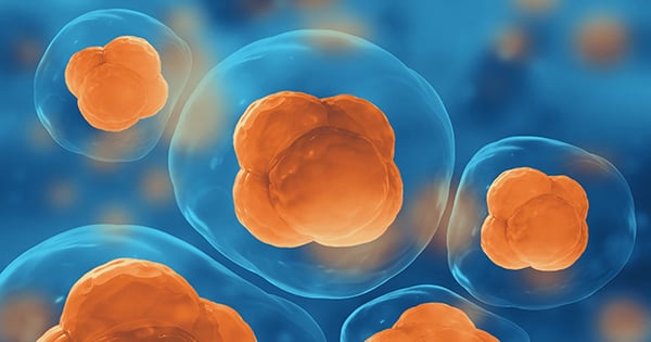 Cell Harvesting & Washing: Optimizing Viability and Recovery in Cell ...