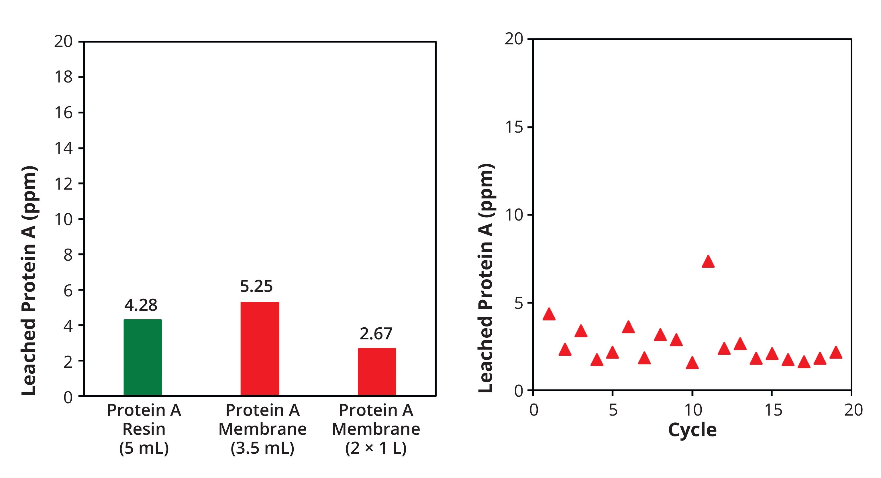 A Fully Single-Use Downstream Process for Monoclonal Antibodies