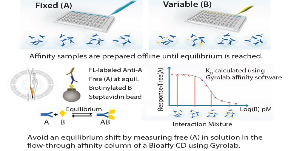 Rapid Affinity and IgG Titer Analytics: Automating Bioanalysis with ...