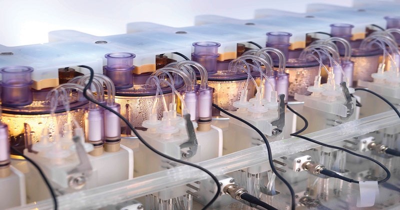 Automated Mini Bioreactor Technology for Microbial and Mammalian Cell ...