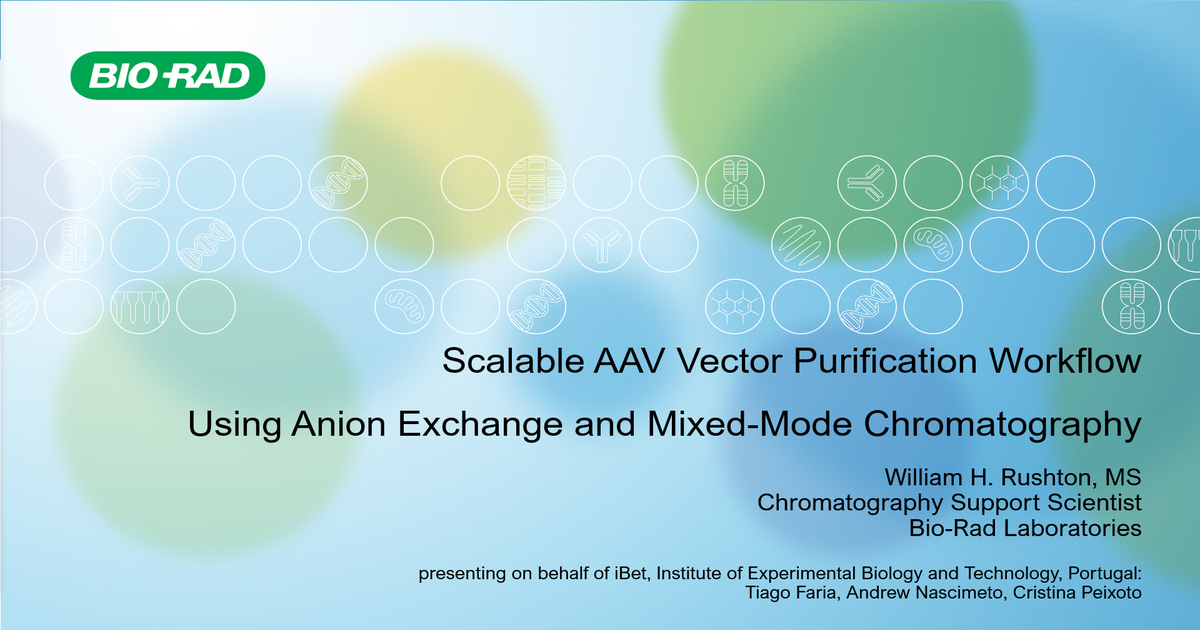 Scalable AAV Vector Purification Workflow - BioProcess International