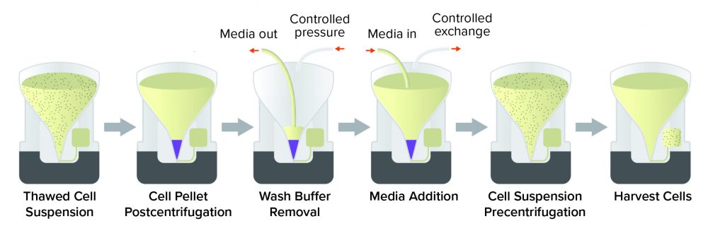 Cell Therapy Workflows Using Corning HYPERStack: MSC Production - BioProcess International