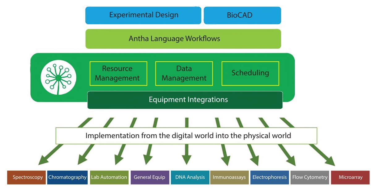 Automated Process Development Through Flexible Workflows
