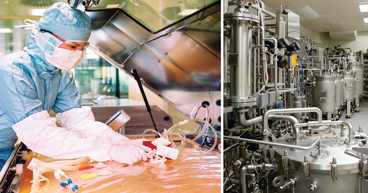 Advances in Bioprocessing: Single-Use and Stainless Steel Technologies