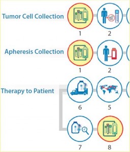 The Cell Therapy Supply Chain