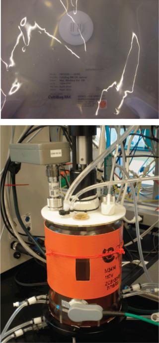 A Biomass Monitor for Disposable Bioreactors