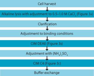 In-Process Control of pDNA Production on CIMac pDNA Analytical Column