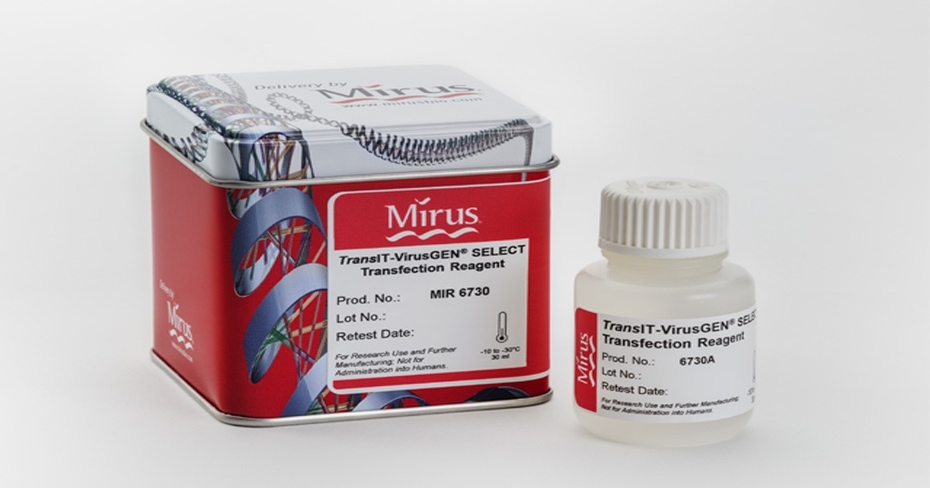 Key Considerations for Maximizing LV and AAV Production in Transient ...