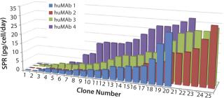 Rapid Generation of Stable NS0 Production Cell Lines in Chemically ...