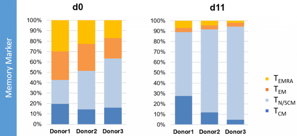 CellGenix medium offers faster T-cell manufacturing - Bioprocess Insider
