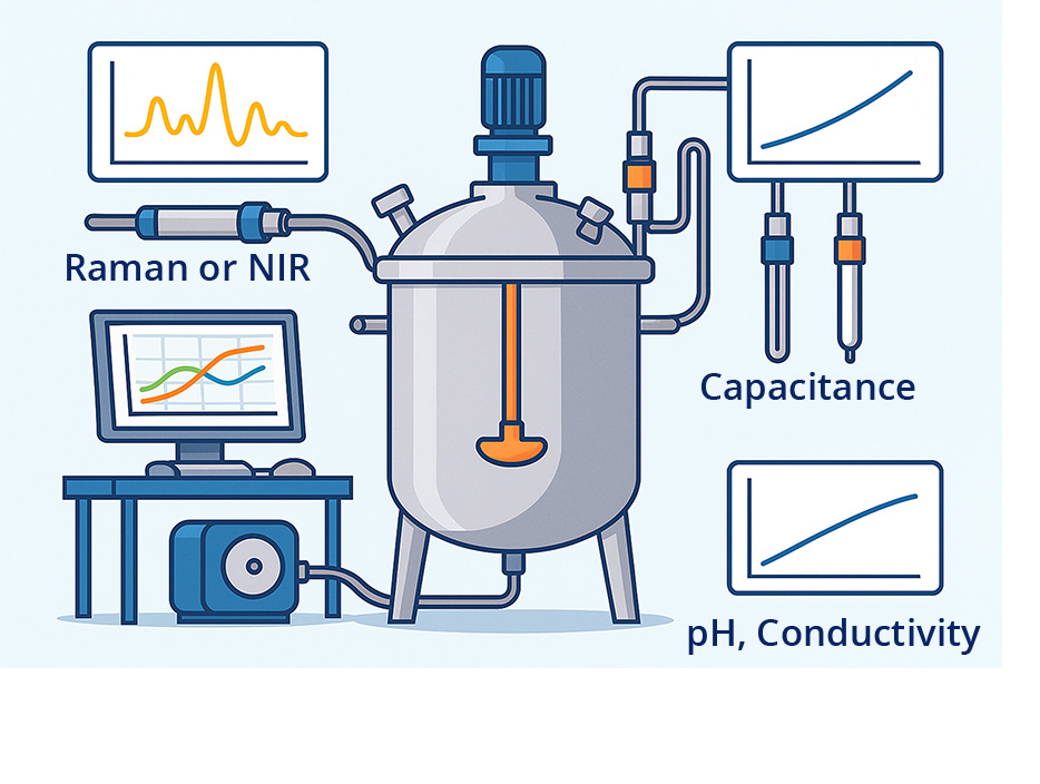 Exploring PAT for Real-Time Bioprocess Control