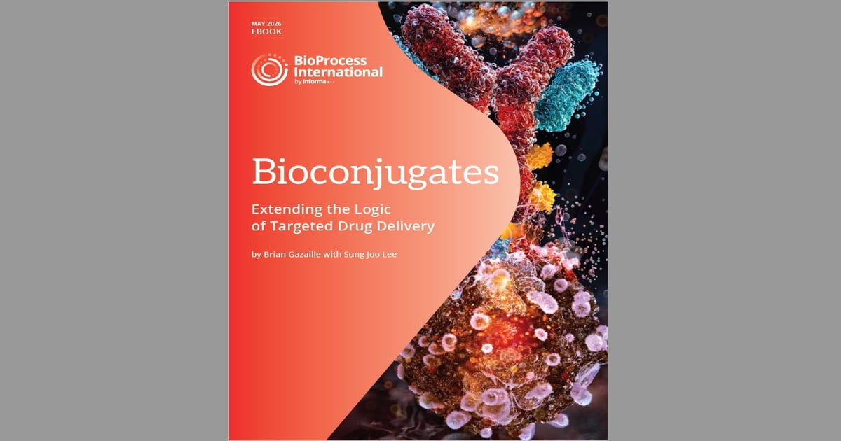Bioconjugates: Extending the Logic of Targeted Drug Delivery