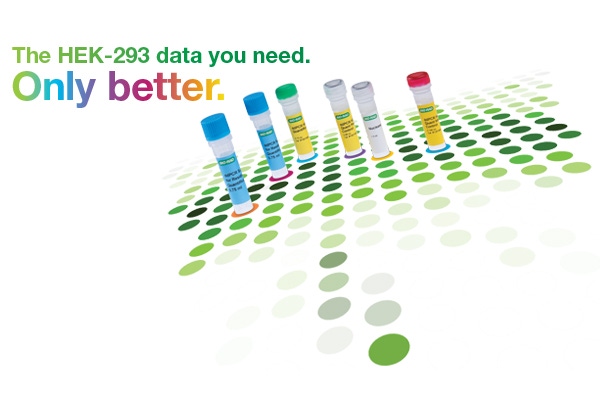 Transitioning from Quantitative PCR to Droplet Digital PCR for HEK293 ... Transitioning from Quantitative PCR to Droplet Digital PCR for HEK293 ...