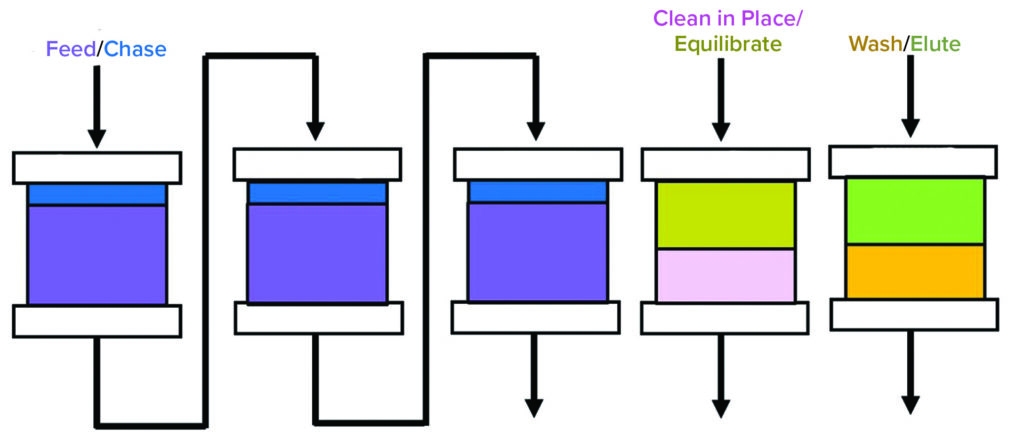 MAb Purification Using Continuous Chromatography Platforms - BioProcess ...