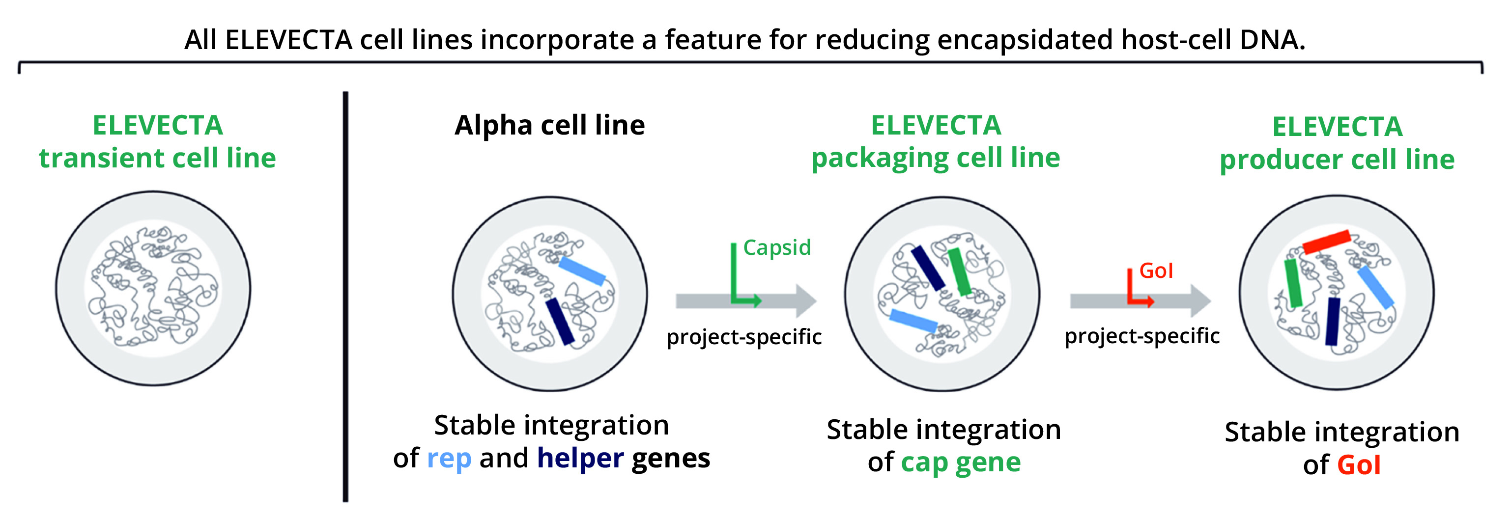 CLD Complexities in Viral-Vector Manufacturing