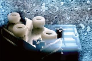 Accounting for the Donnan Effect in Diafiltration Optimization for High ...