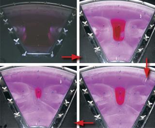 Large-Scale Freezing of Biologics