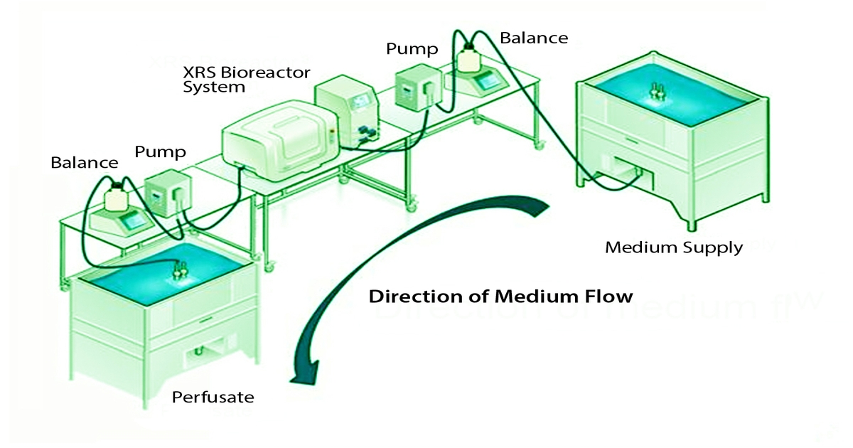 A Look At Perfusion: The Upstream Continuous Process