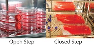 Implementing Custom Single-Use Solutions for Cell Therapy Production