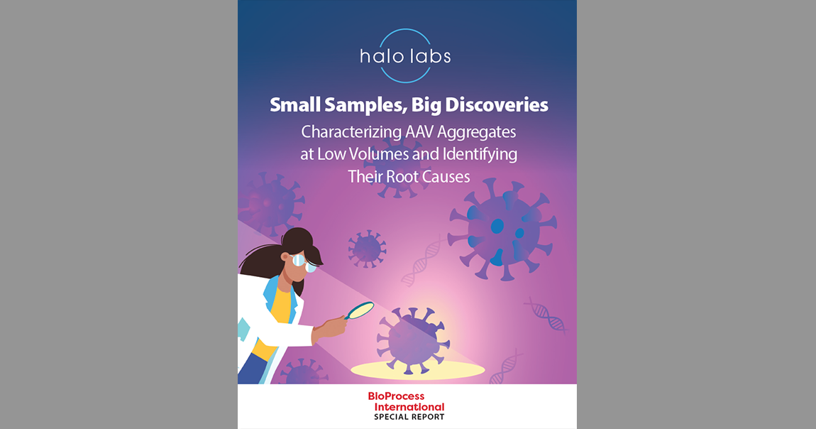 Characterizing AAV Aggregates - BioProcess International