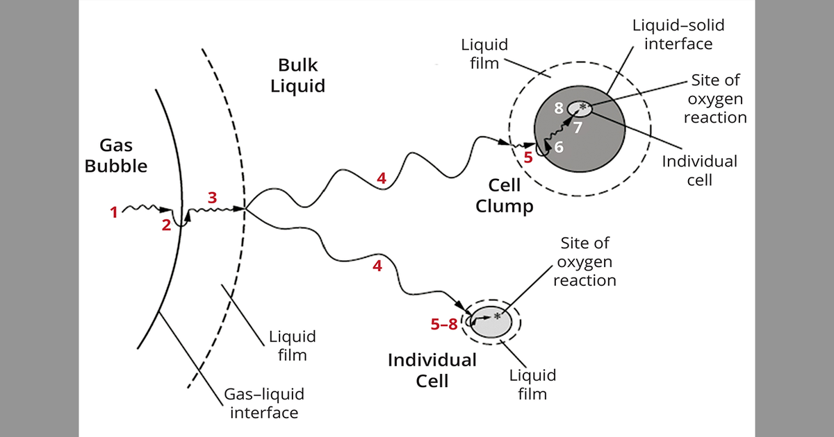 Oxygen Transfer and the Volumetric Mass-Transfer Coefficient in Stirred ...