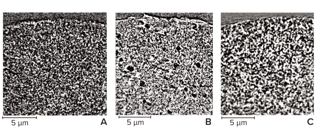Visualization and Characterization of Chromatography Structures ...