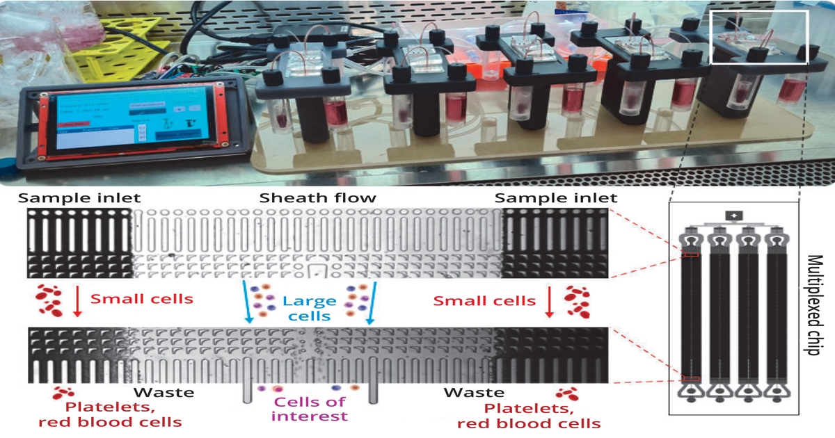 Microfluidic Cell Sorting
